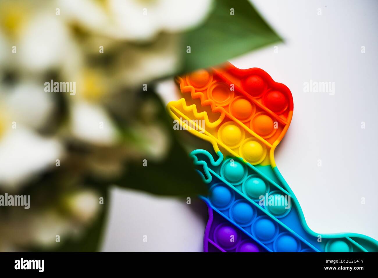 Popit rainbow toy in rainbow colours and dino shape. Trendy bubble pop ...