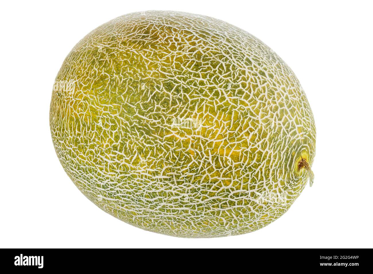 Close up view of fresh melon isolated on white background. File ...