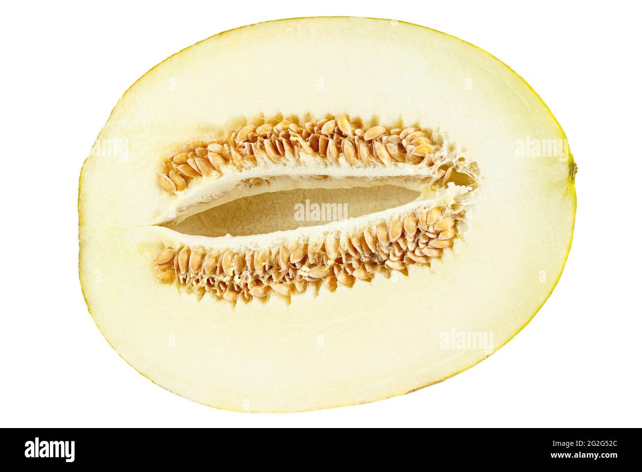 Close up view of fresh melon isolated on white background. File ...