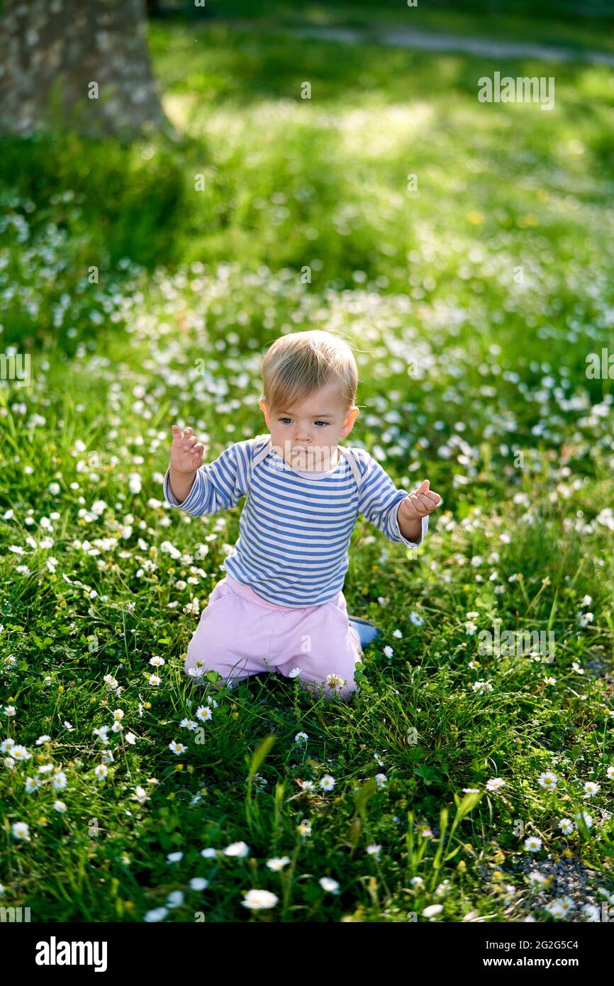Kid sits on his knees raising his hands up on a green lawn with white daisies Stock Photo - Alamy