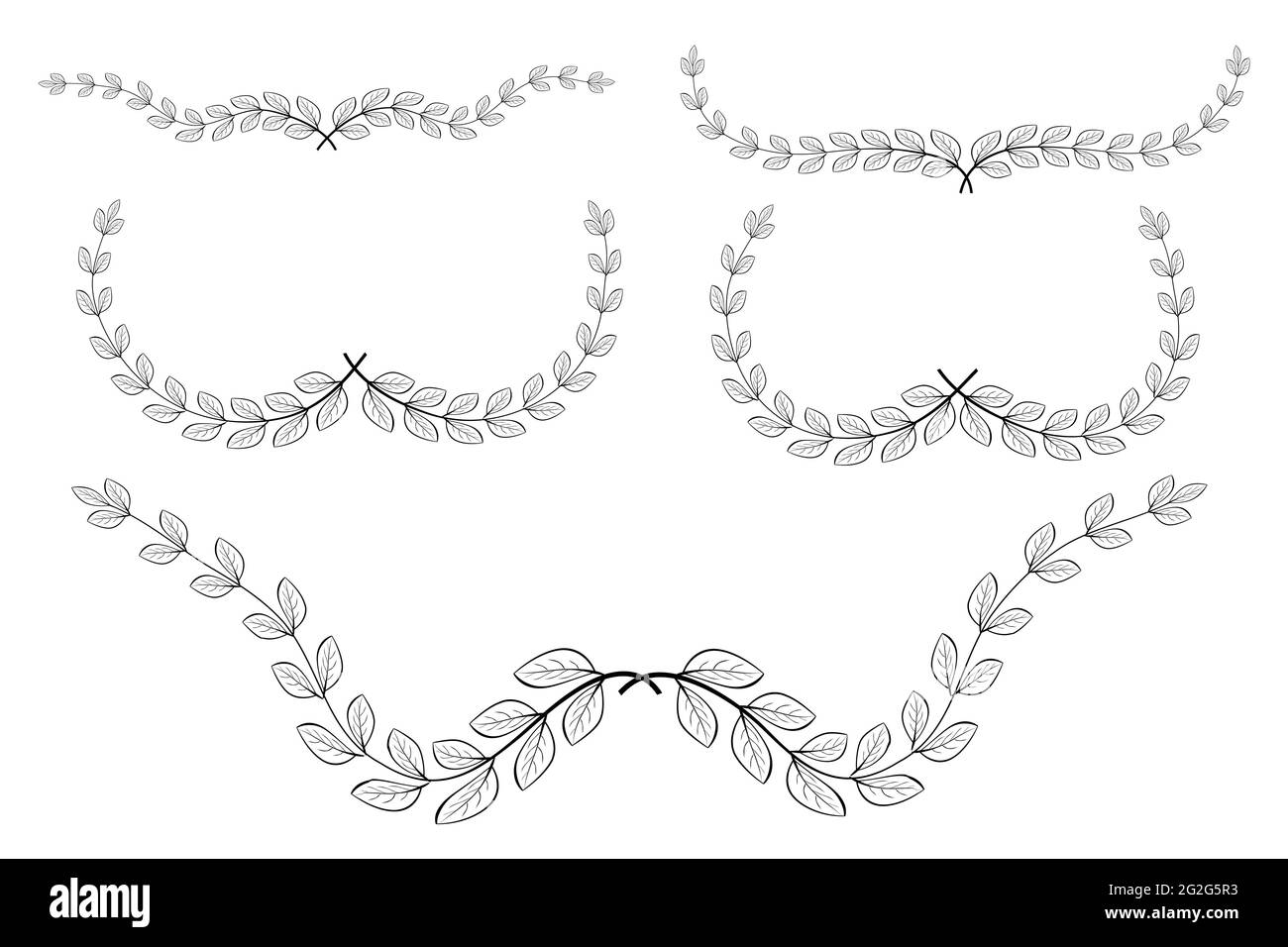 Floral, Laurel Wreath Border, For Your Design Element, Isolated on ...
