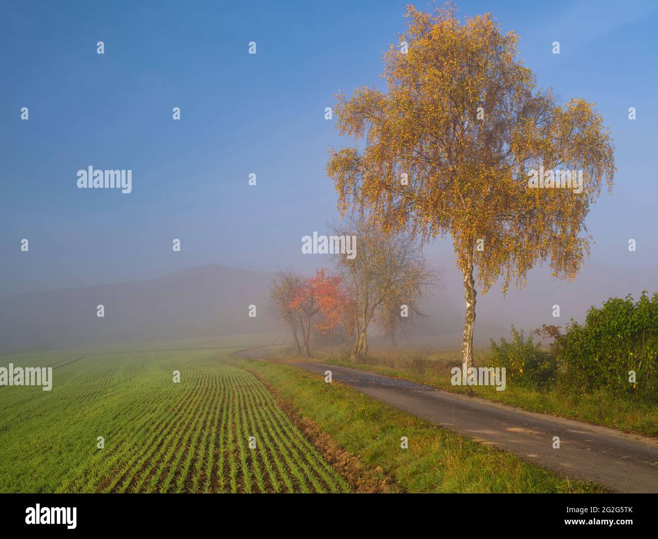 Hunstein range hi-res stock photography and images - Alamy