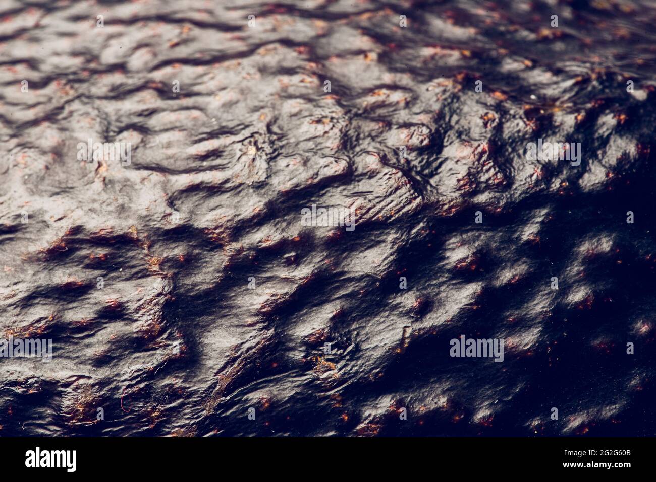 Avocado skin hi-res stock photography and images - Alamy