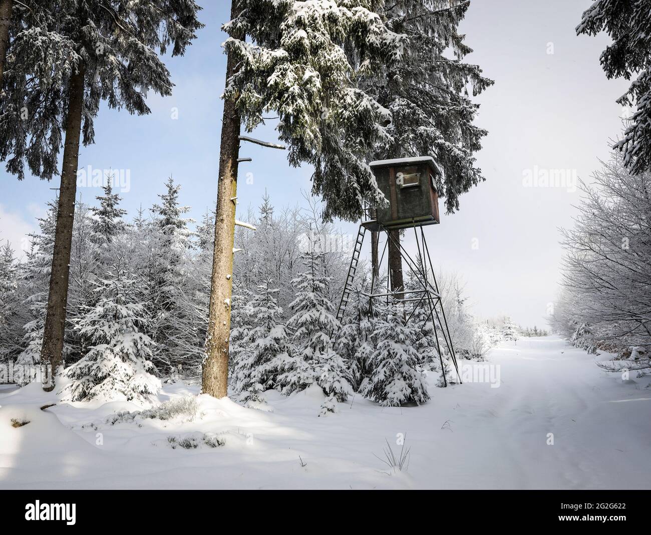 Hunting pulpit hi-res stock photography and images - Alamy
