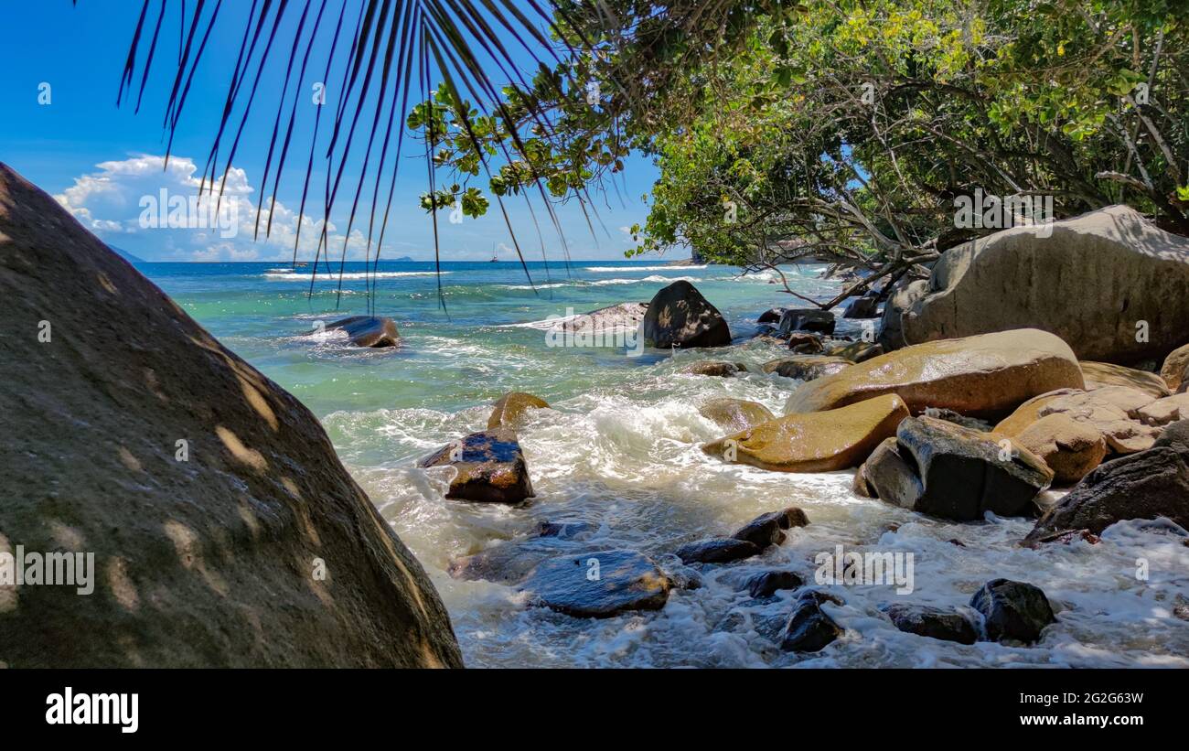 Seychelles, Mahe, Indian icean shore. Rocks, trees and waves Stock ...