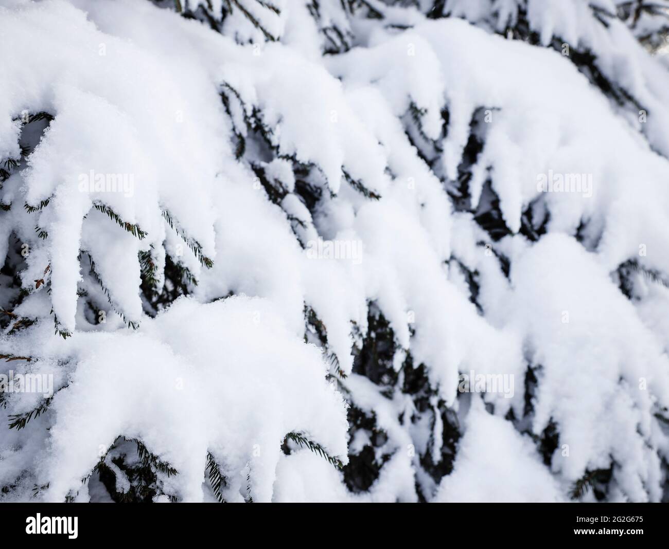 Thick snow hi-res stock photography and images - Alamy