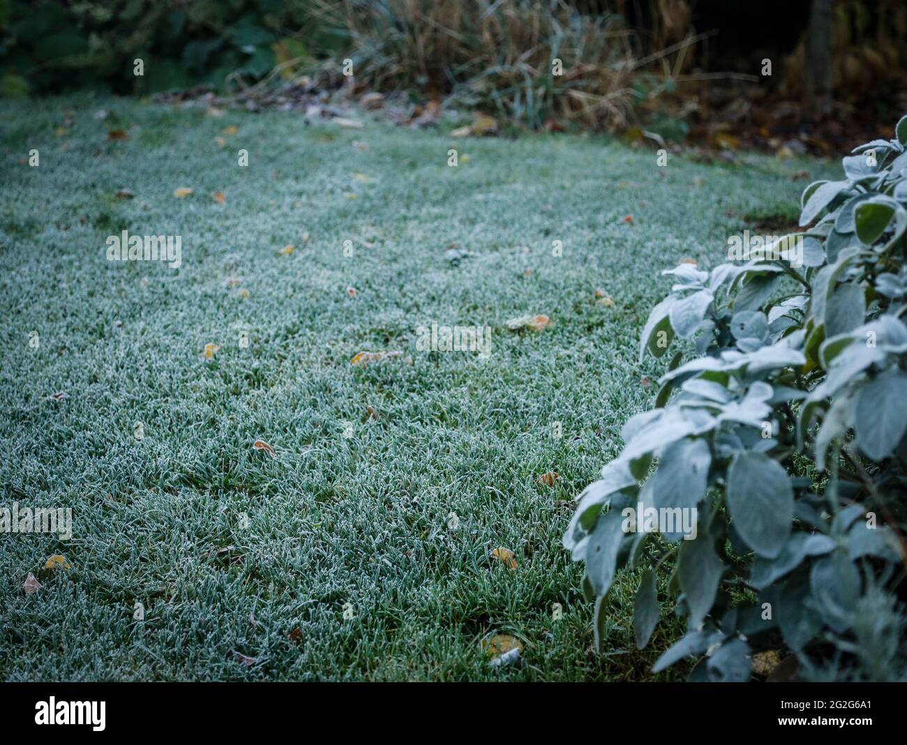 Lawn light hi-res stock photography and images - Alamy