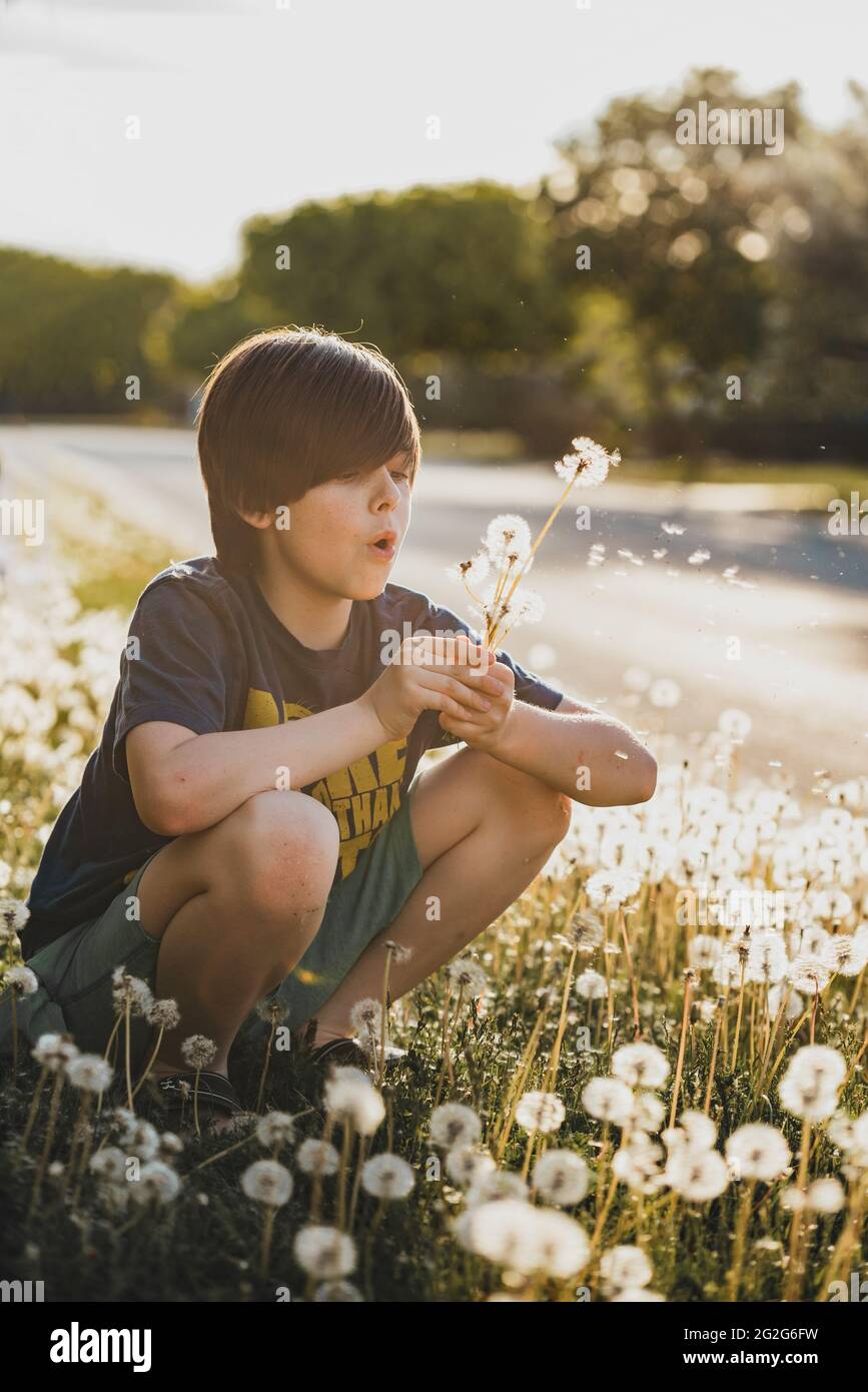 Child Blowing Dandelion