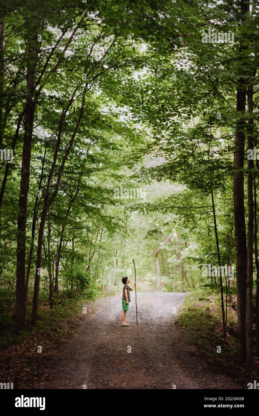 Cute boy with big hiking stick standing on a path in the forest Stock ...