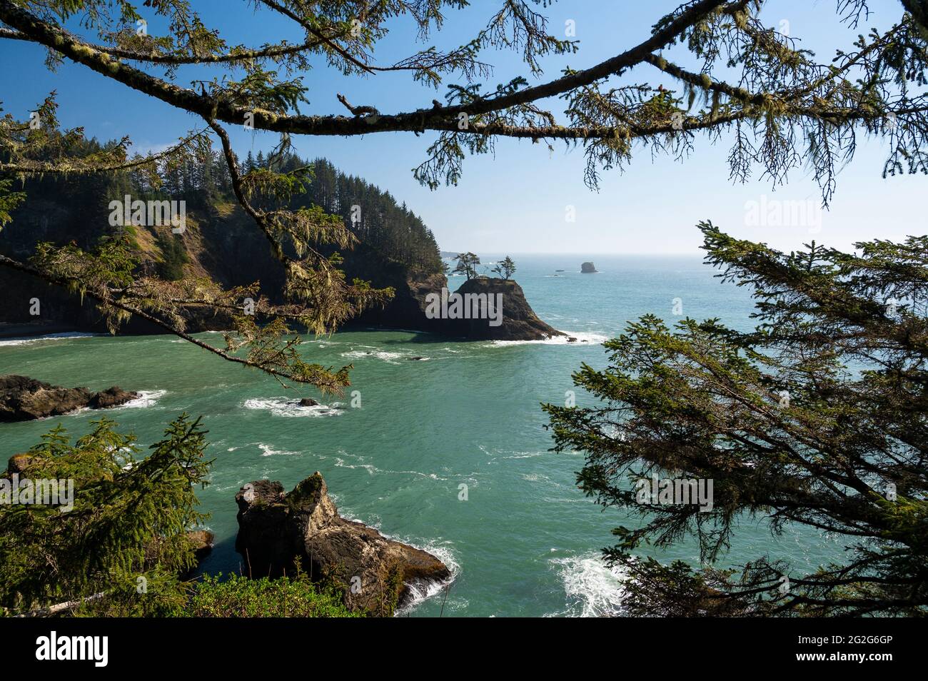 Sea Stacks Framed By Trees On The Rugged Oregon Coast Stock Photo - Alamy