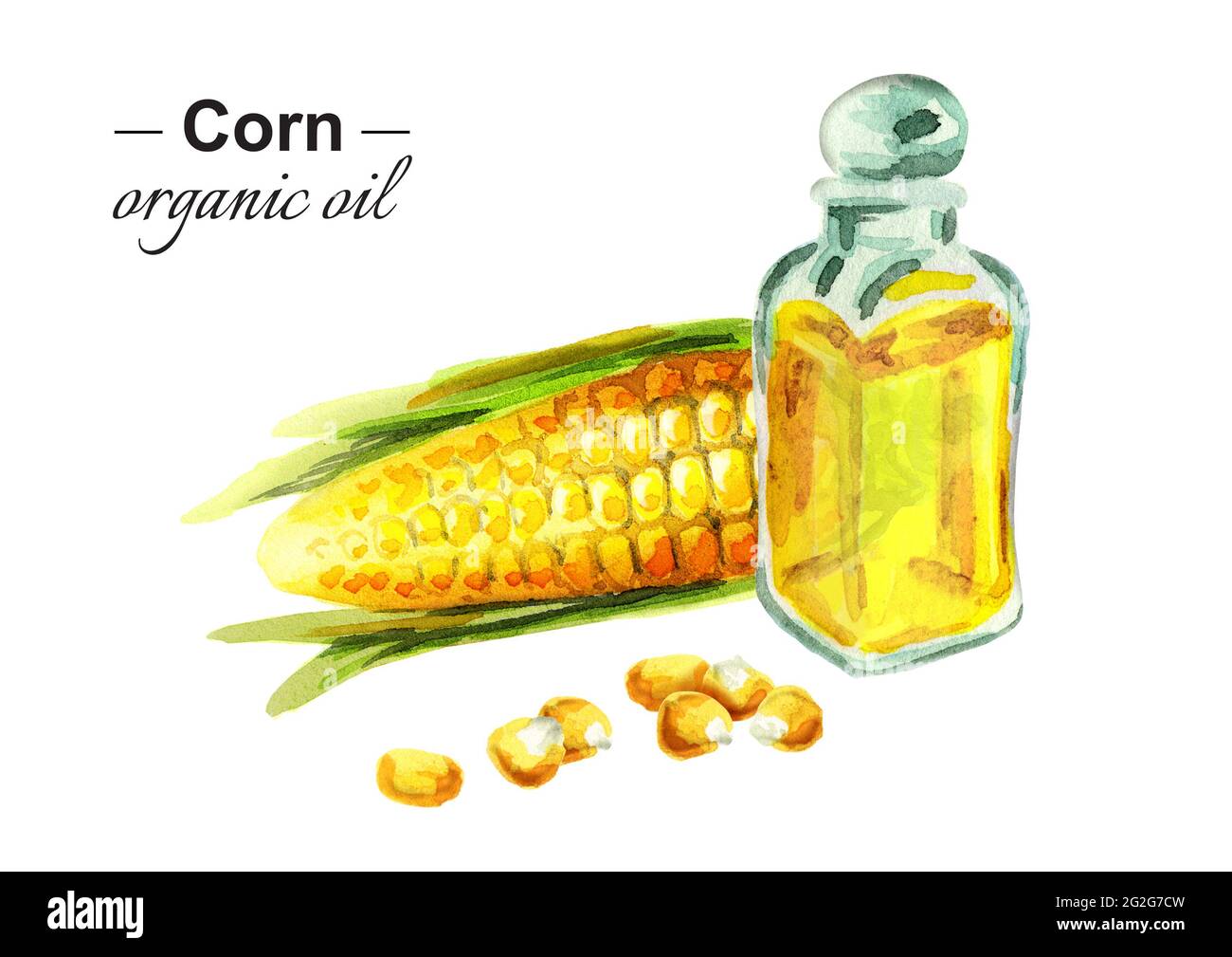Corn oil. Drawing Stock Photo - Alamy