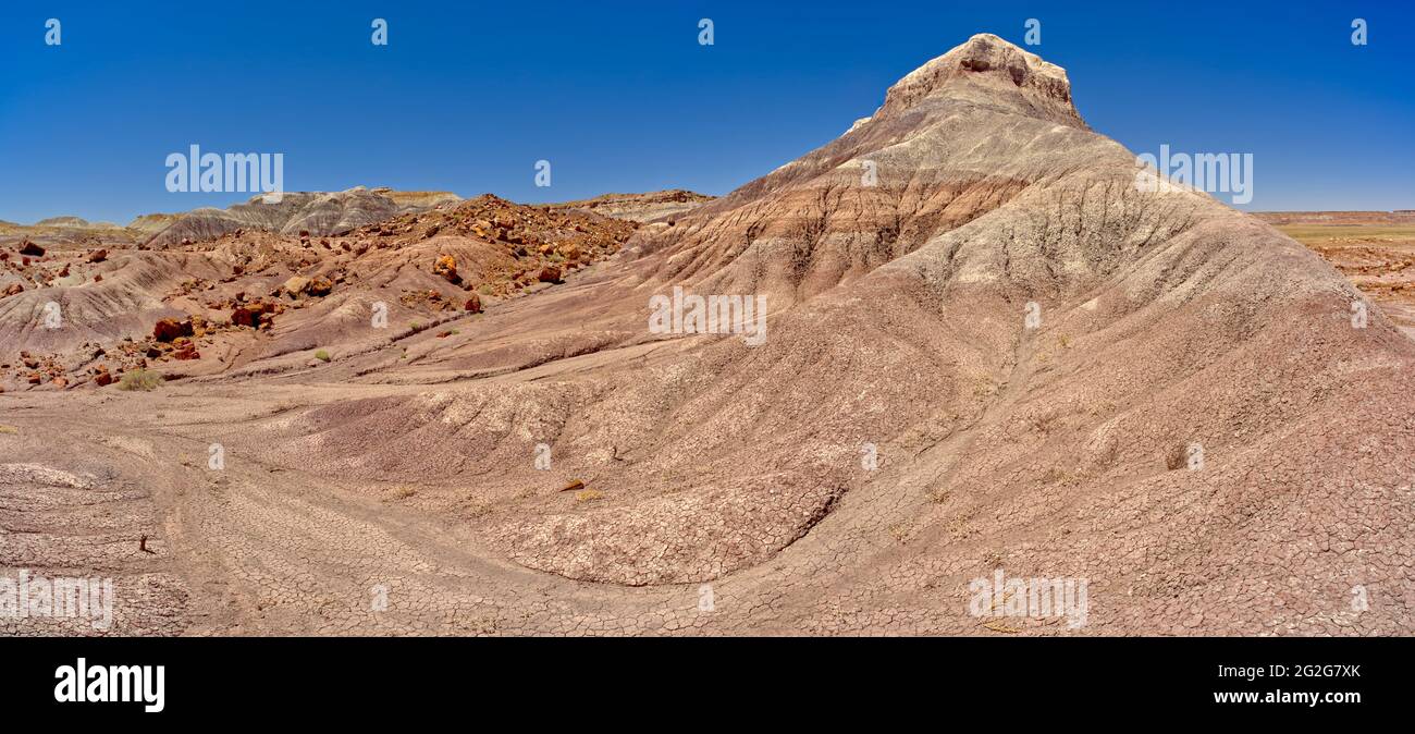 First forest trail hi-res stock photography and images - Alamy