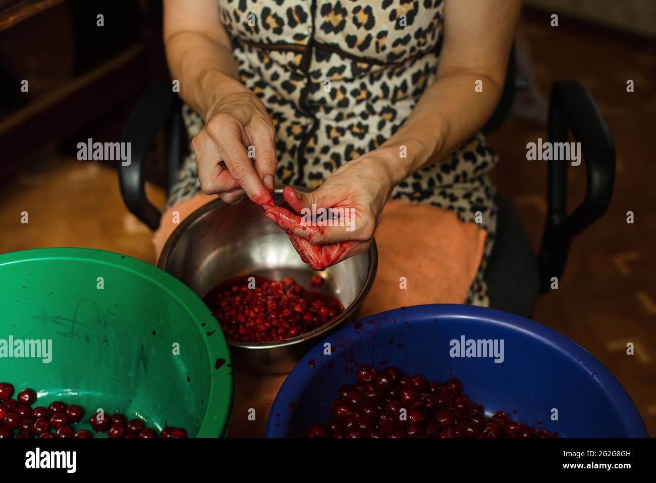 Unrecognizable woman removing cherry pits by hands Stock Photo - Alamy