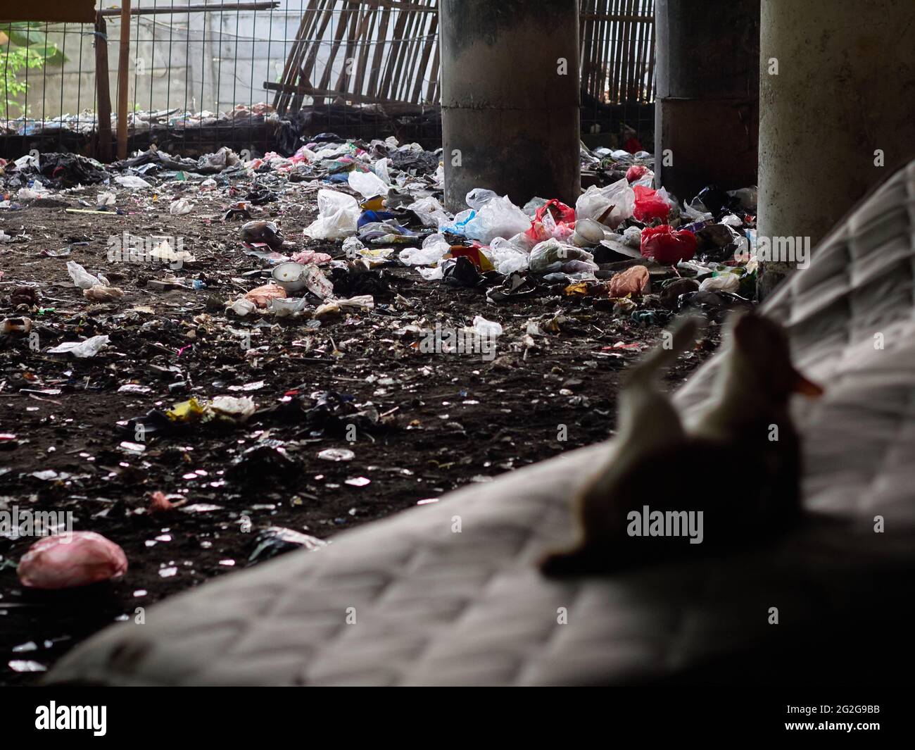 Papanggo hi-res stock photography and images - Alamy