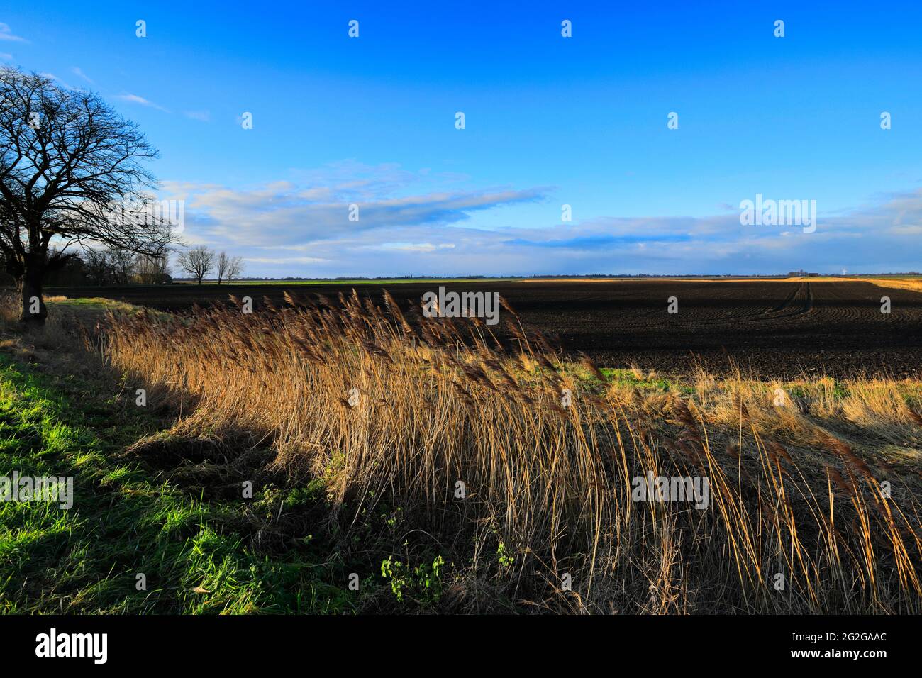 Fenland fields near wisbech hi-res stock photography and images - Alamy