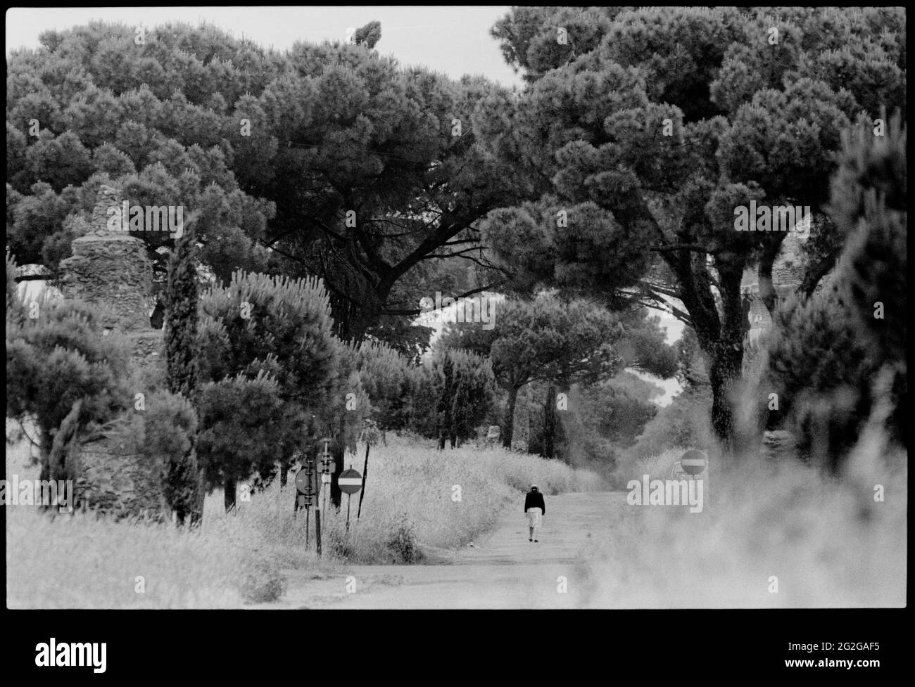 Rome Italy Via Appia Appian Way 1989 The Appian Way (Latin and Italian ...