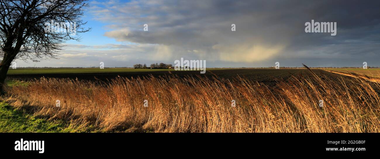Fenland fields near wisbech hi-res stock photography and images - Alamy