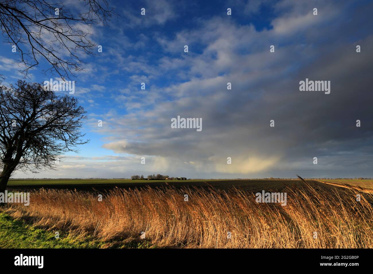 Fenland fields near wisbech hi-res stock photography and images - Alamy