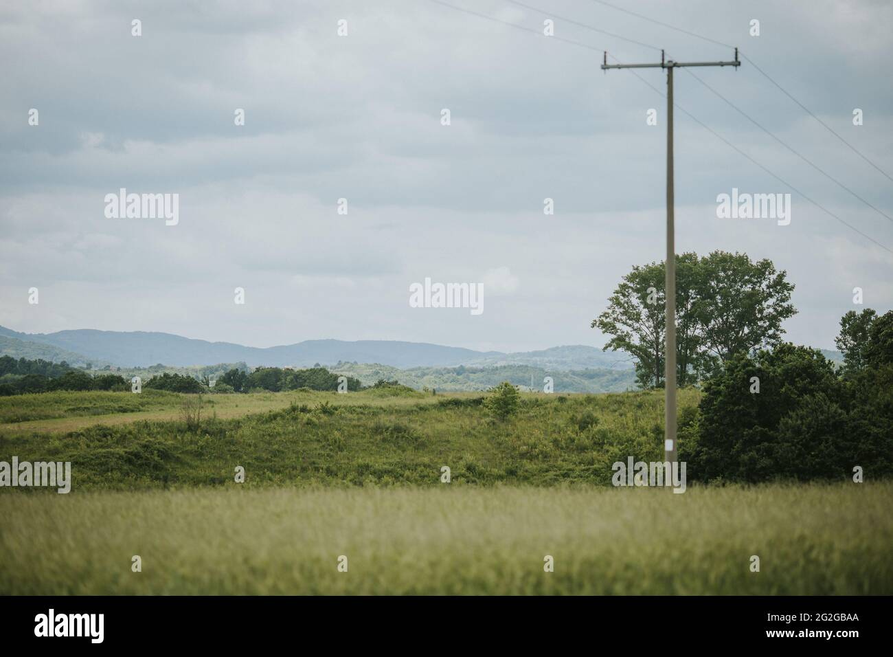 Green field in the countryside Stock Photo - Alamy