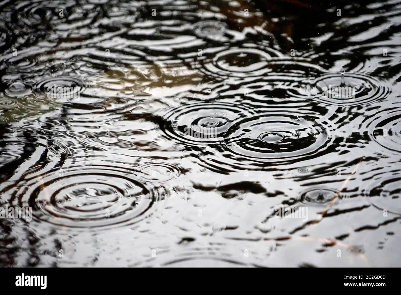 Germany, Bavaria, Upper Bavaria, Altötting district, rain, raindrops ...