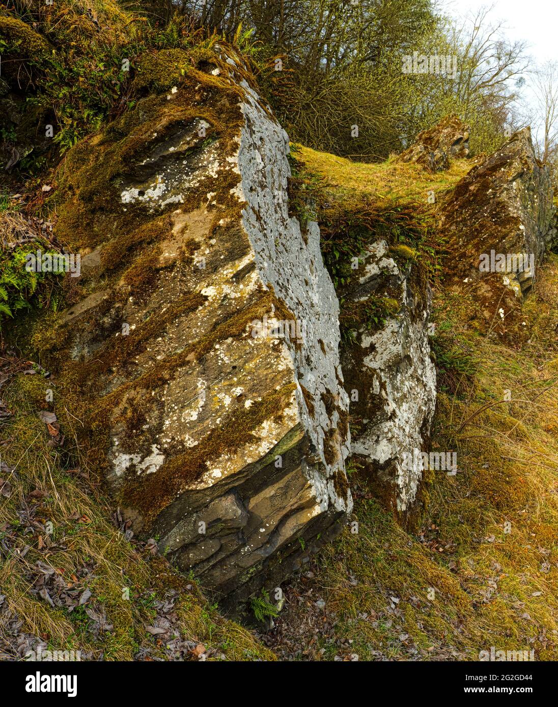 Europe, Germany, Hesse, Marburger Land, Vogelsberg Geopark, Amöneburg ...