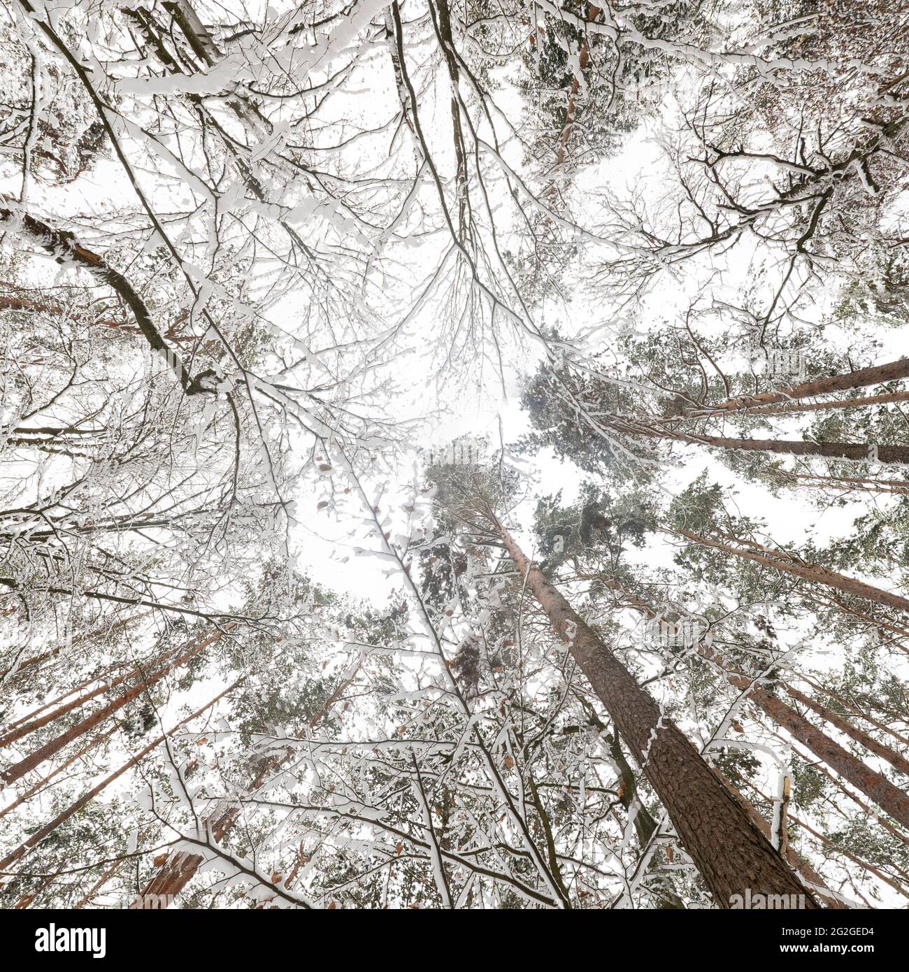 360 degree mountain panorama in hi-res stock photography and images - Alamy