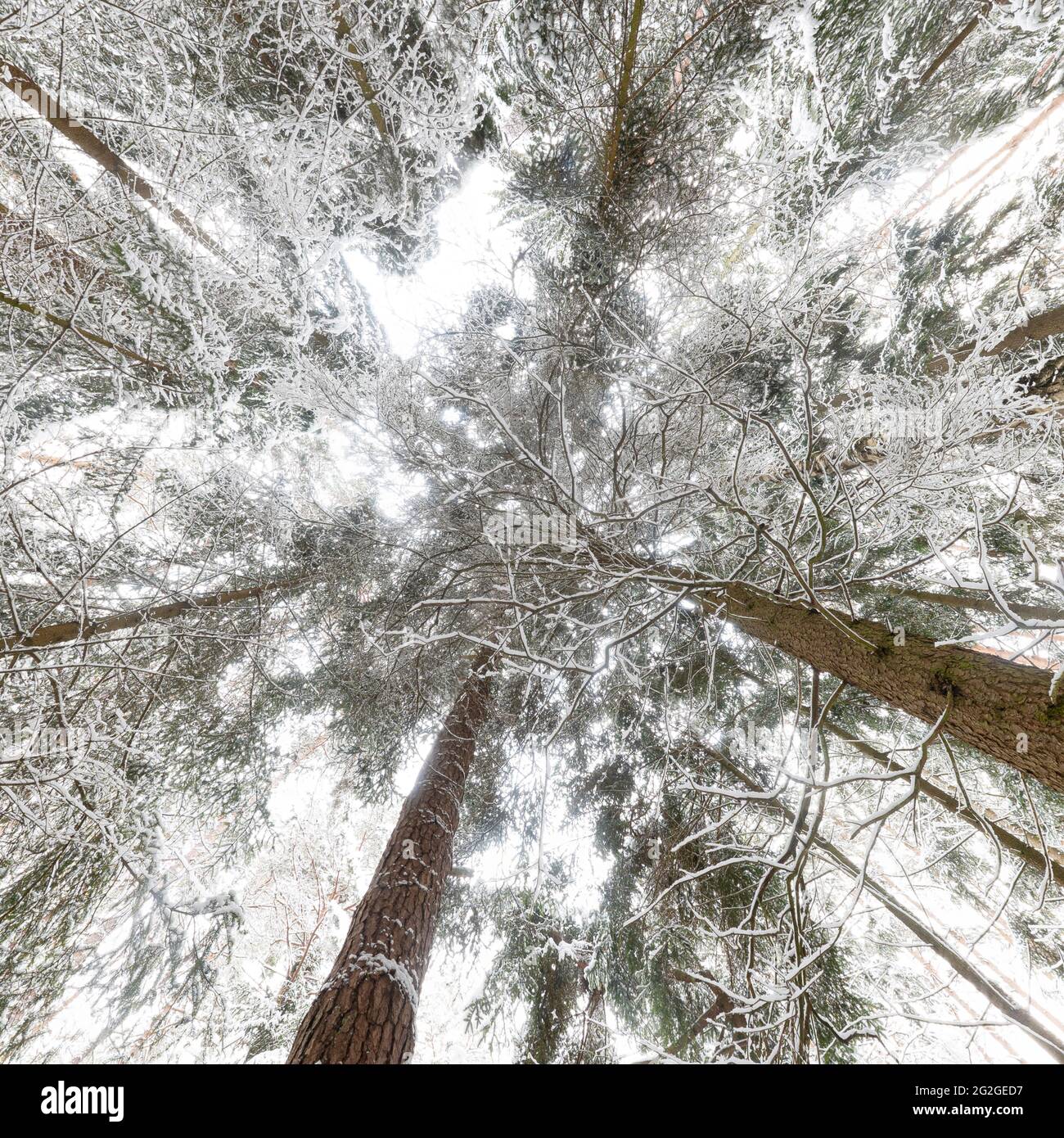 360 degree view of the border hi-res stock photography and images - Alamy