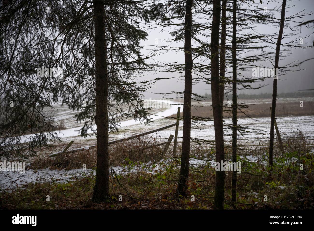 Gloomy winter landscape Stock Photo - Alamy