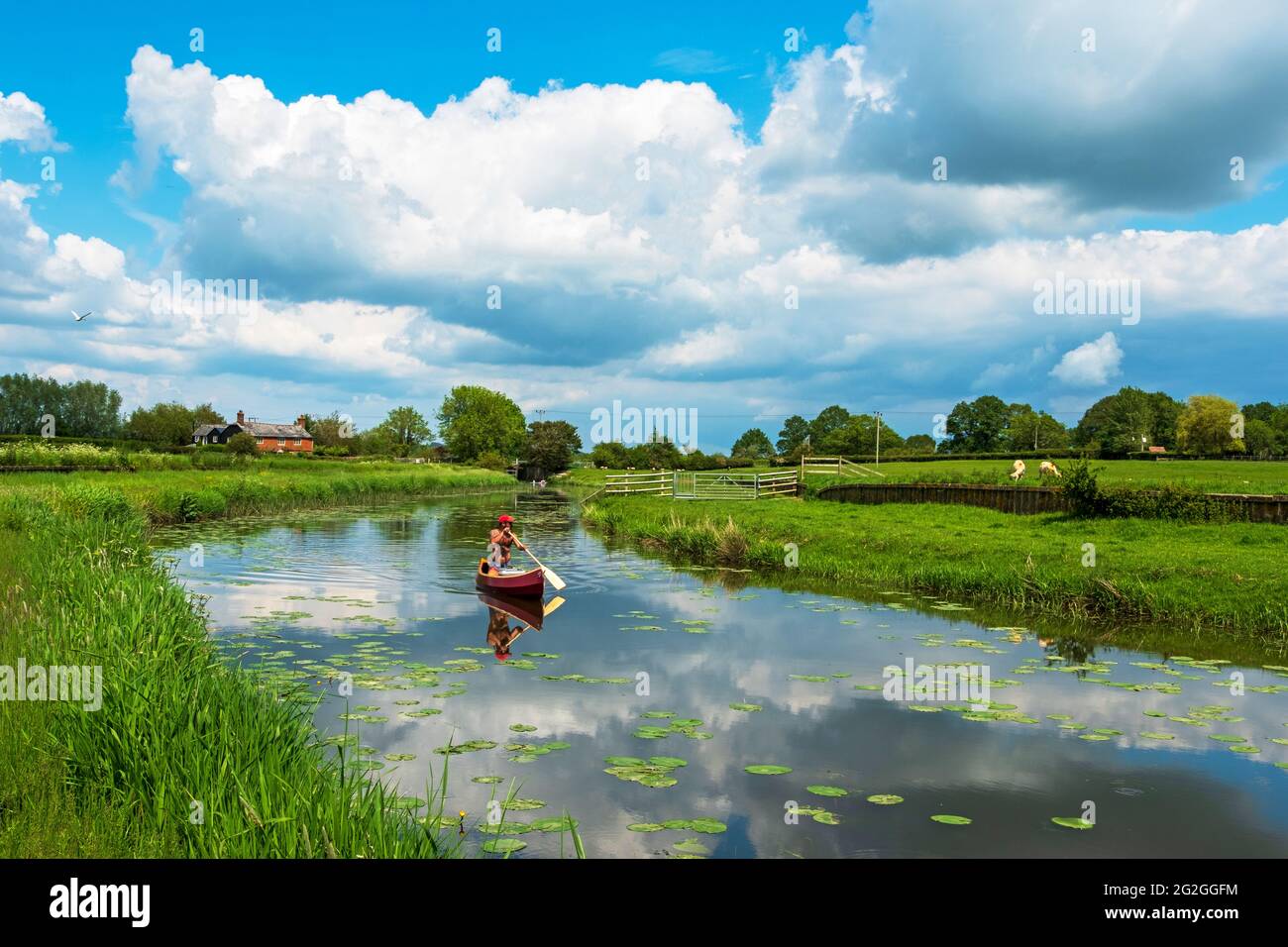 A canoeist on the River Rother in Kent, England, UK, GB Stock Photo - Alamy