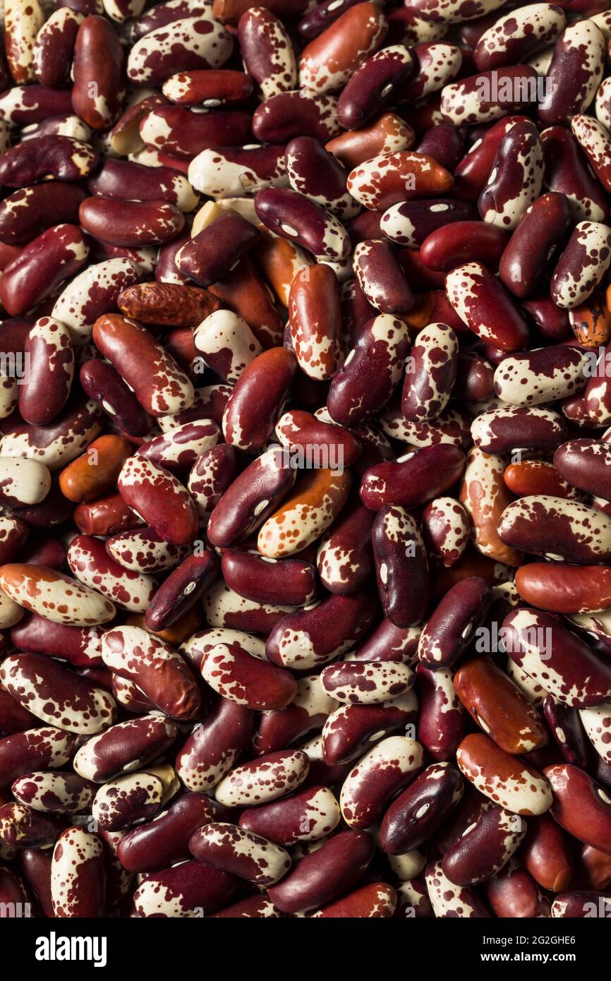 Cow Beans High Resolution Stock Photography and Images - Alamy