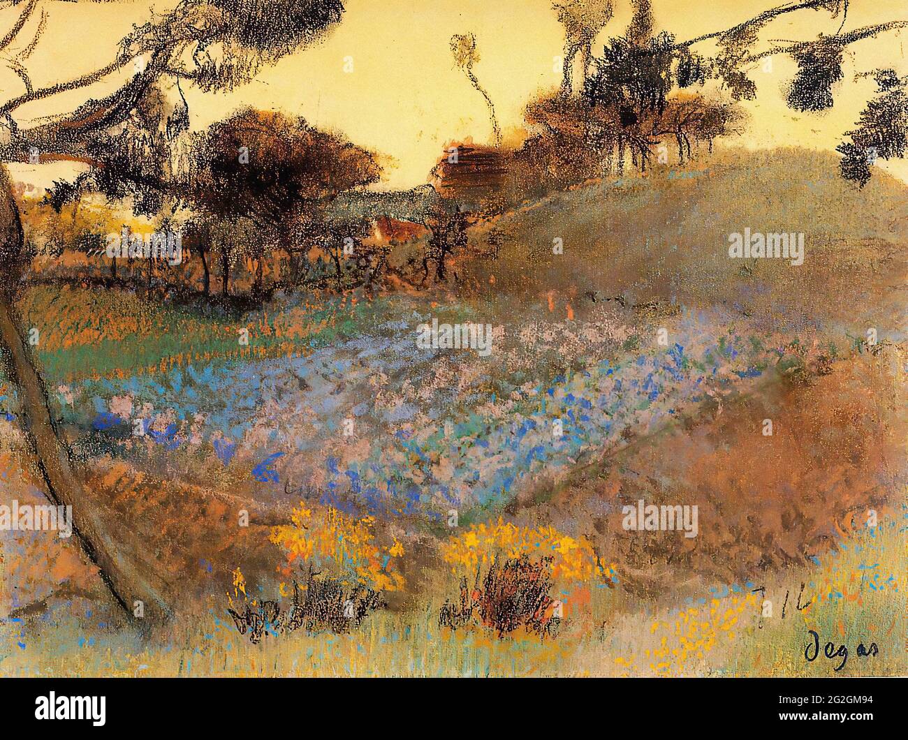 Edgar field hi-res stock photography and images - Alamy