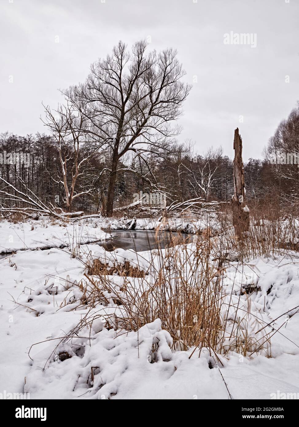 Winter in the couple break Stock Photo - Alamy