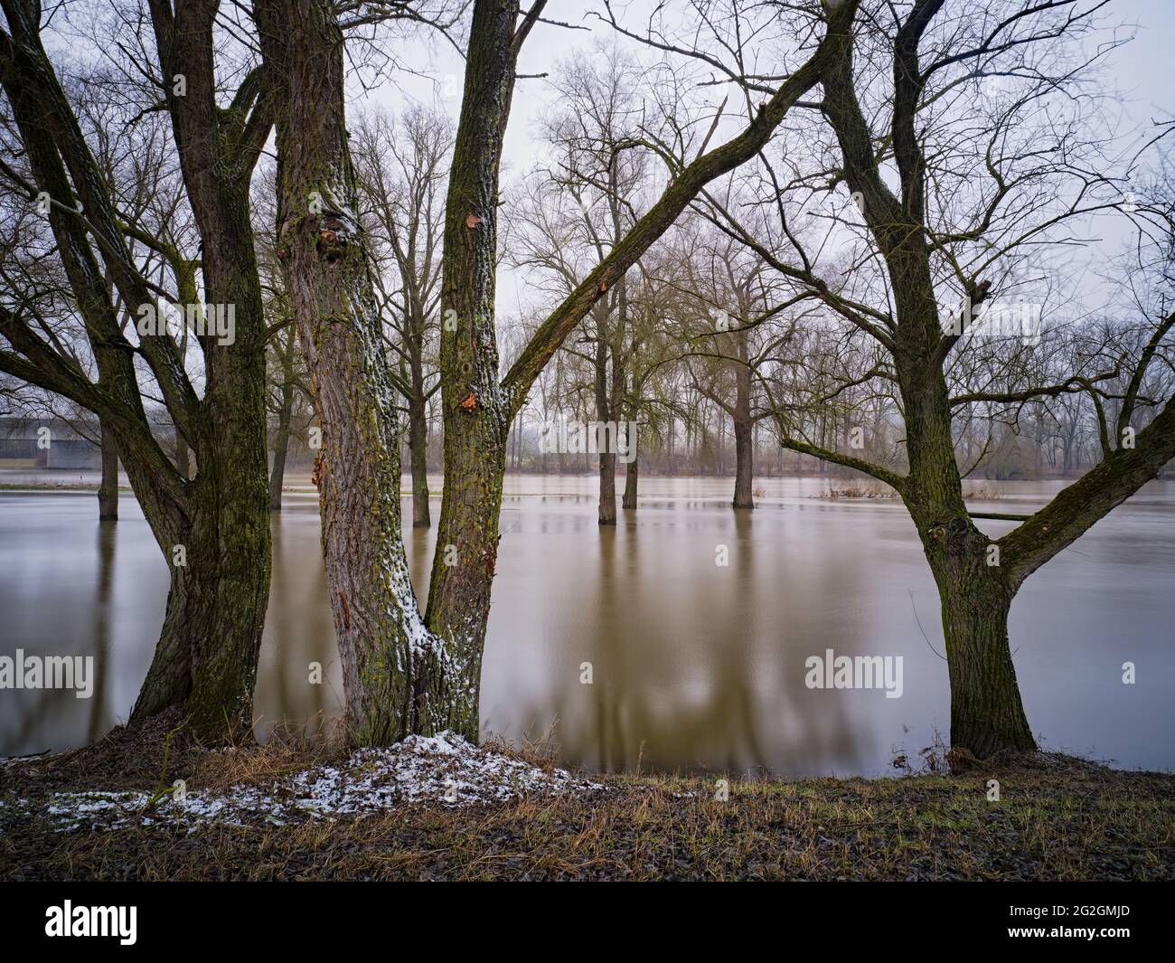Danube Riverside Forest High Resolution Stock Photography and Images ...