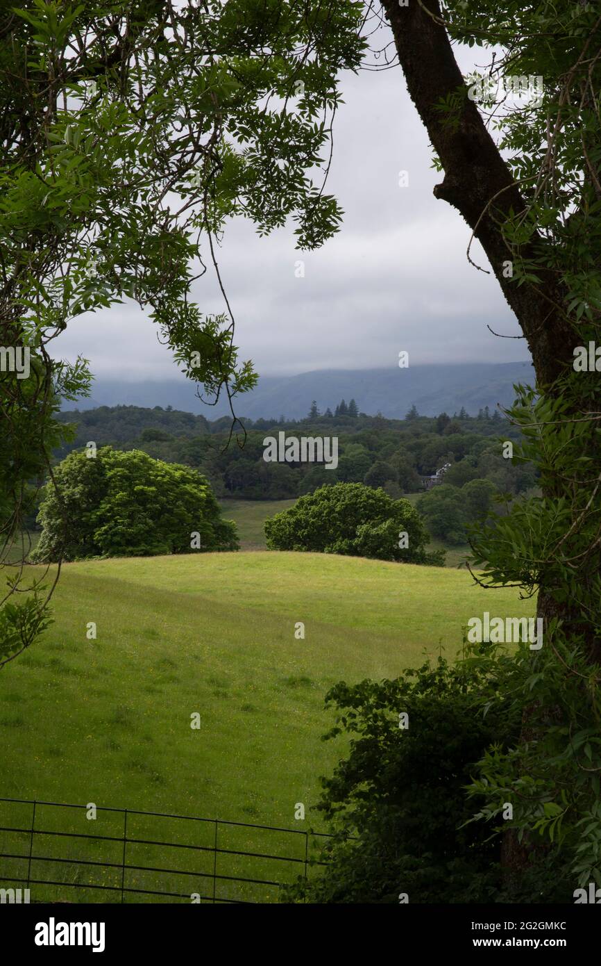 Wray castle grounds hi-res stock photography and images - Alamy