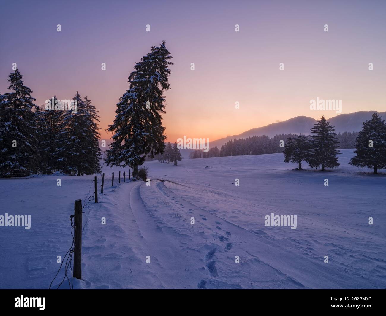 Winter in the Ostallgäu Stock Photo - Alamy