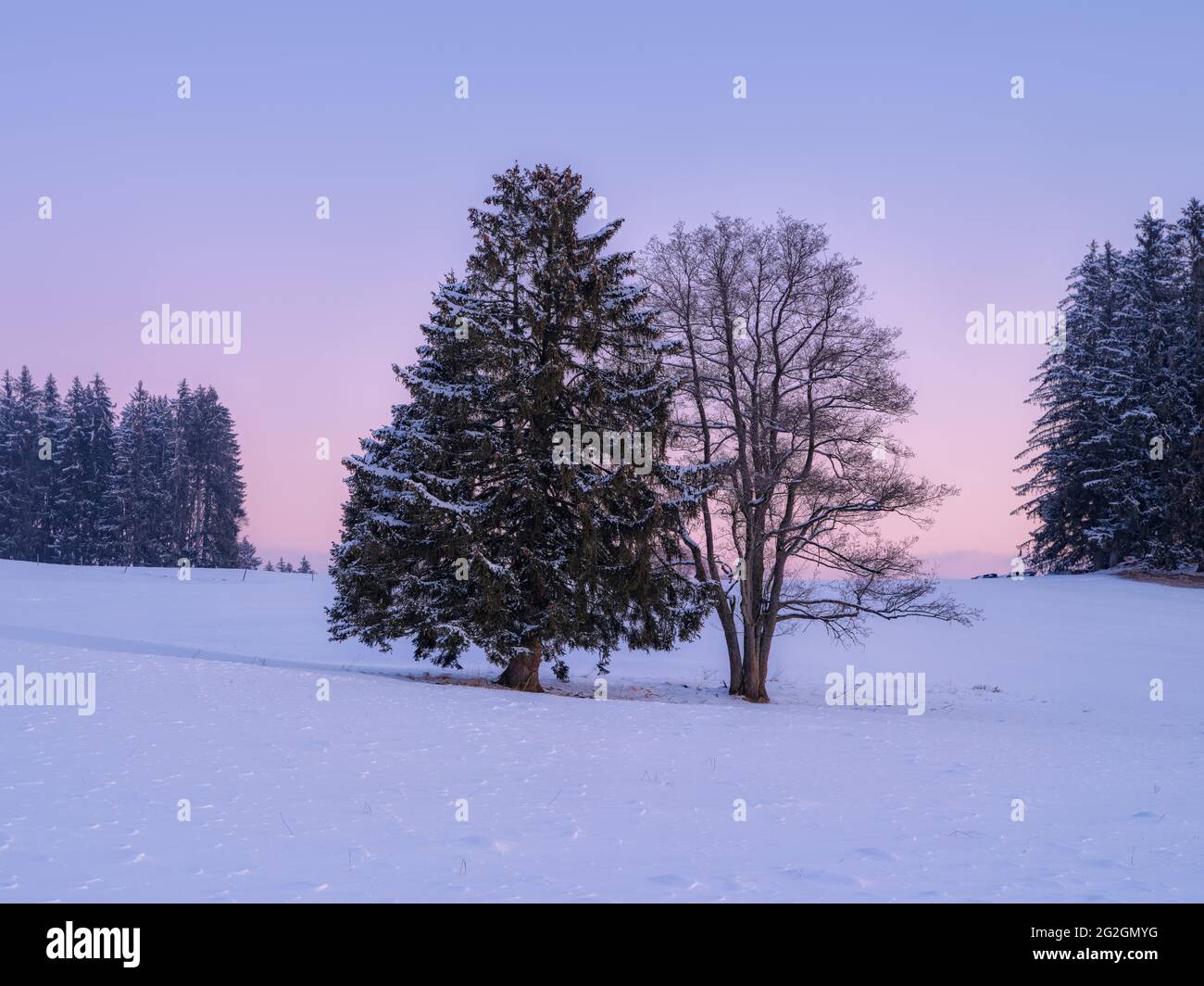Winter in the Ostallgäu Stock Photo - Alamy