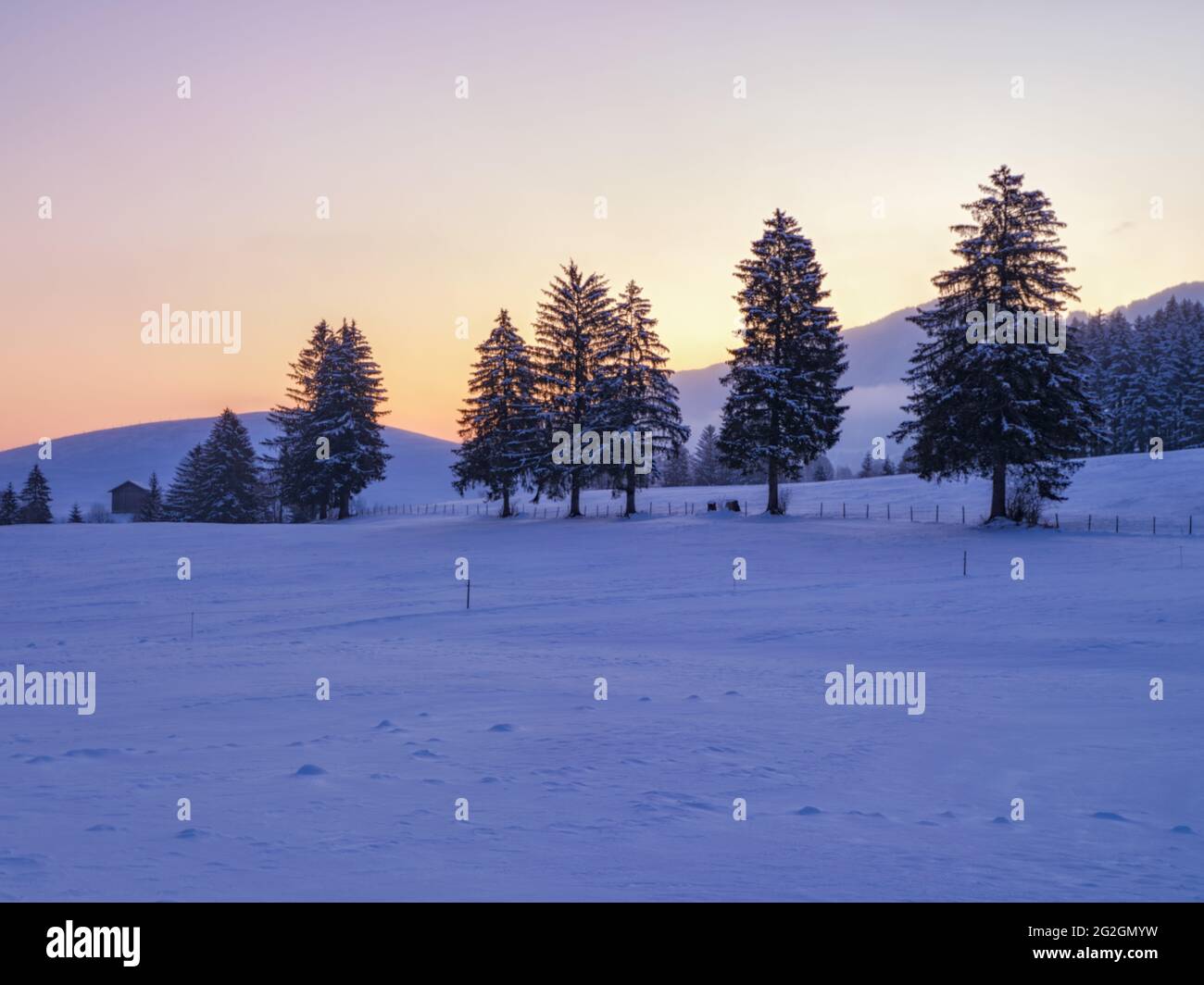 Winter in the Ostallgäu Stock Photo - Alamy