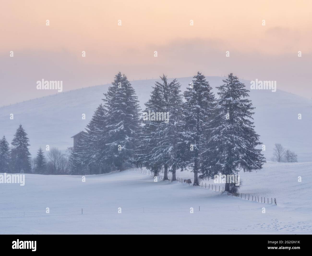Winter in the Ostallgäu Stock Photo - Alamy