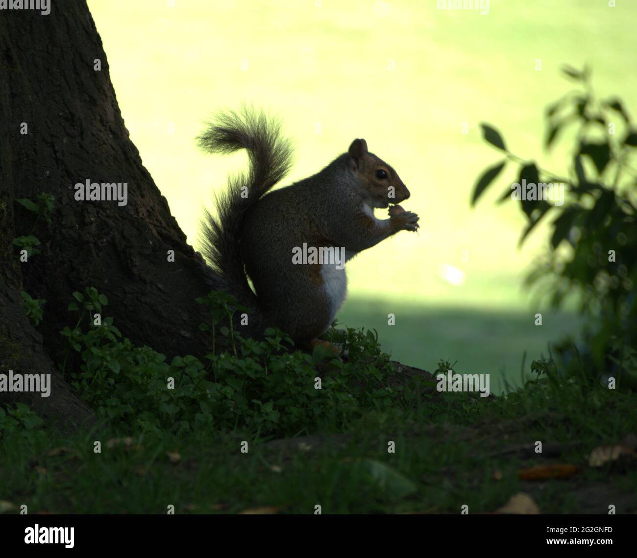 Dukinfield hi-res stock photography and images - Alamy