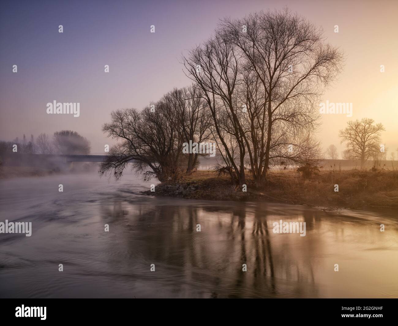 Morning mist at the mouth of the Schmutter Stock Photo - Alamy