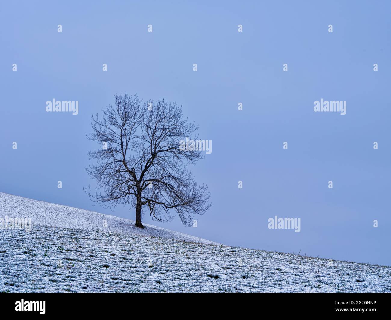 Moraine line hi-res stock photography and images - Alamy