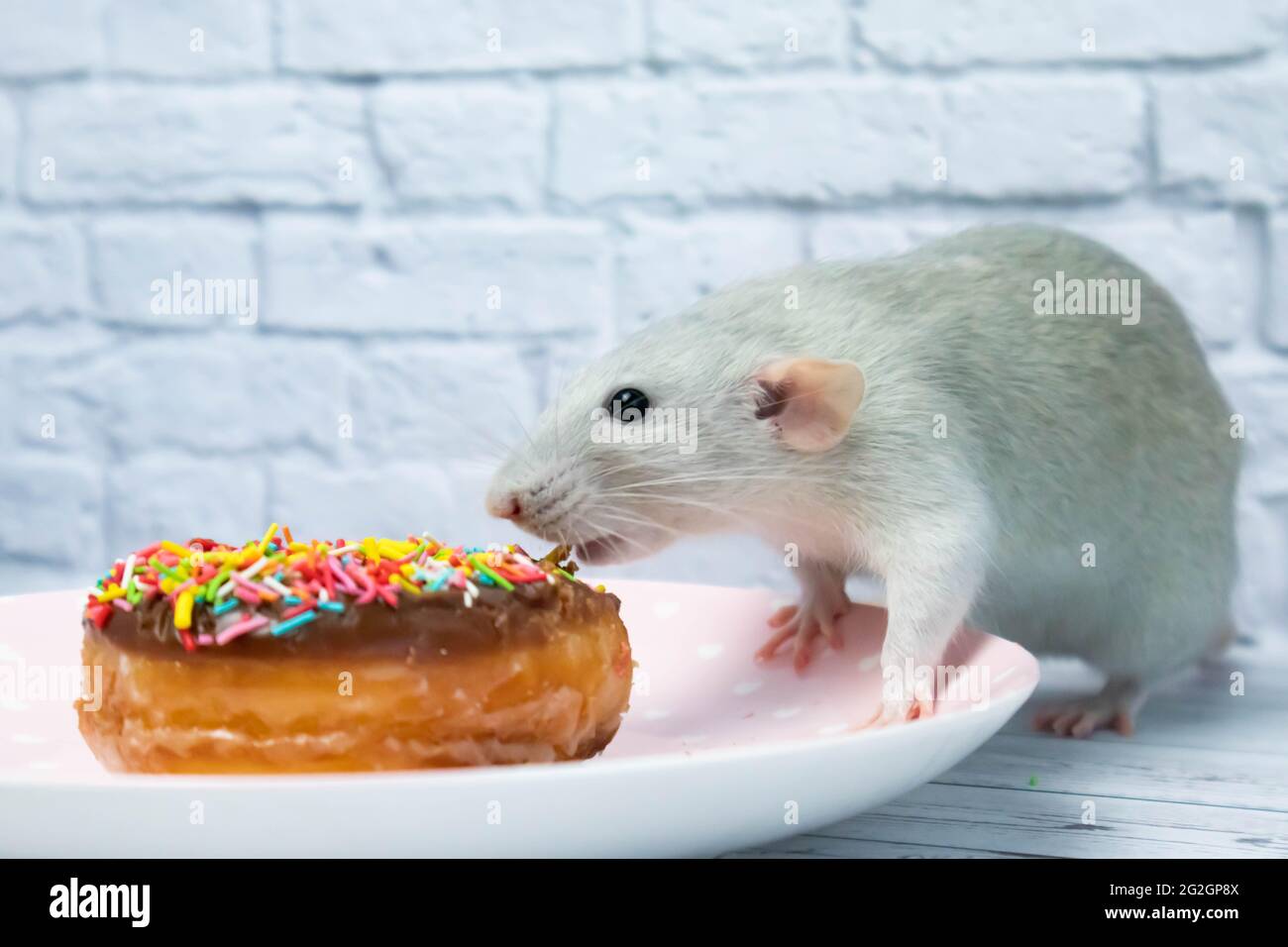 Happy birthday! on screen close hi-res stock photography and images - Alamy