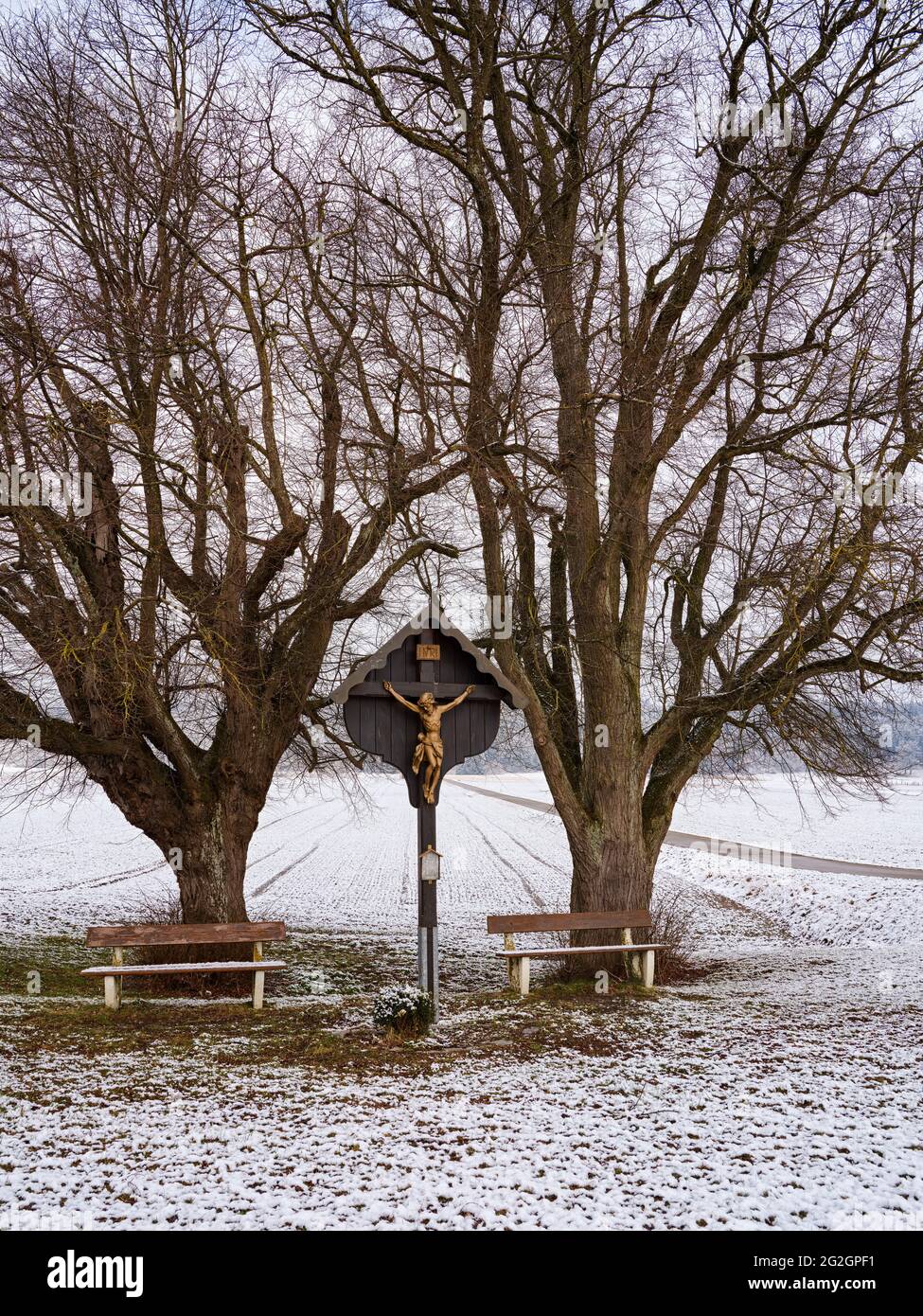 Garden path under trees hi-res stock photography and images - Alamy