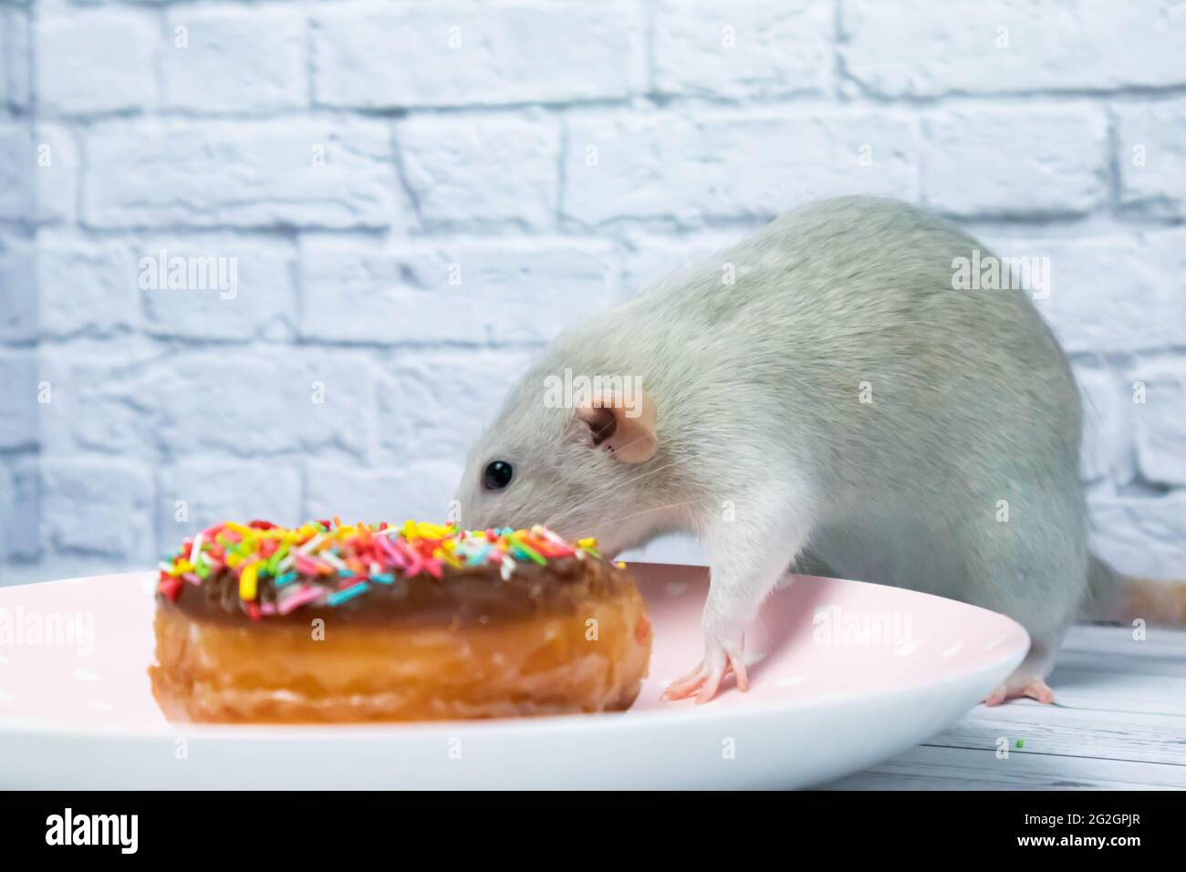 Happy birthday! on screen close hi-res stock photography and images - Alamy