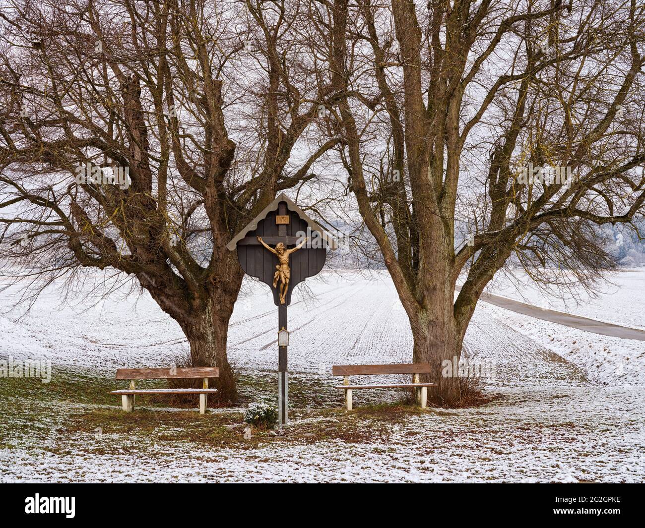 Garden path under trees hi-res stock photography and images - Alamy