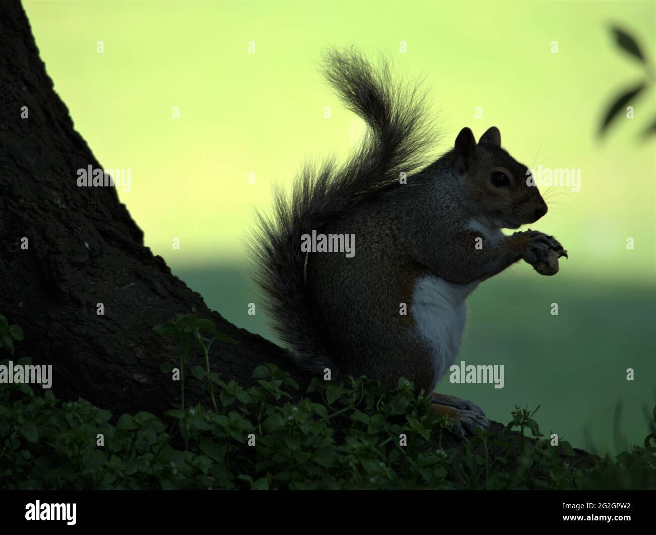 Dukinfield hi-res stock photography and images - Alamy