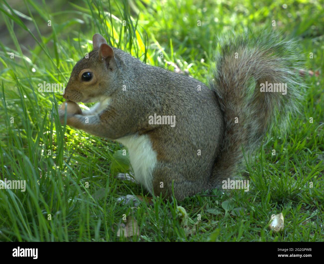 Dukinfield hi-res stock photography and images - Alamy