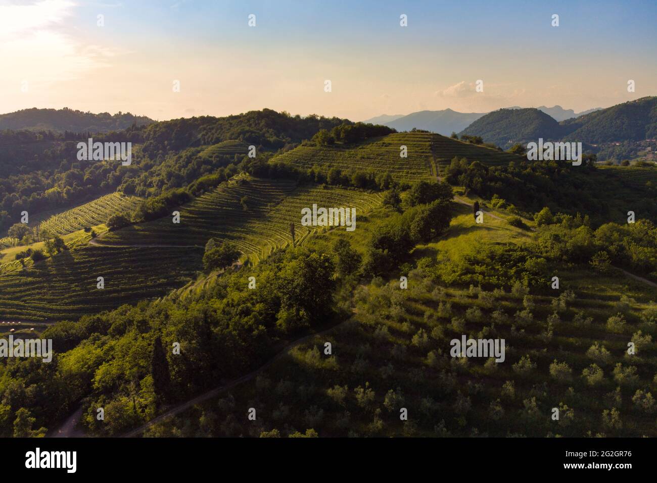 Aerial panorama of Montevecchia beautiful terraces of the lombardy ...