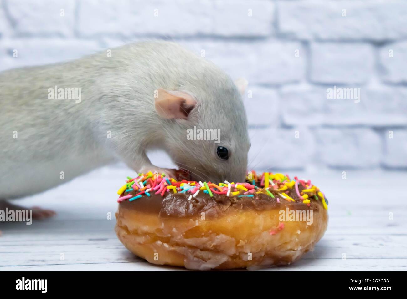 Happy birthday! on screen close hi-res stock photography and images - Alamy