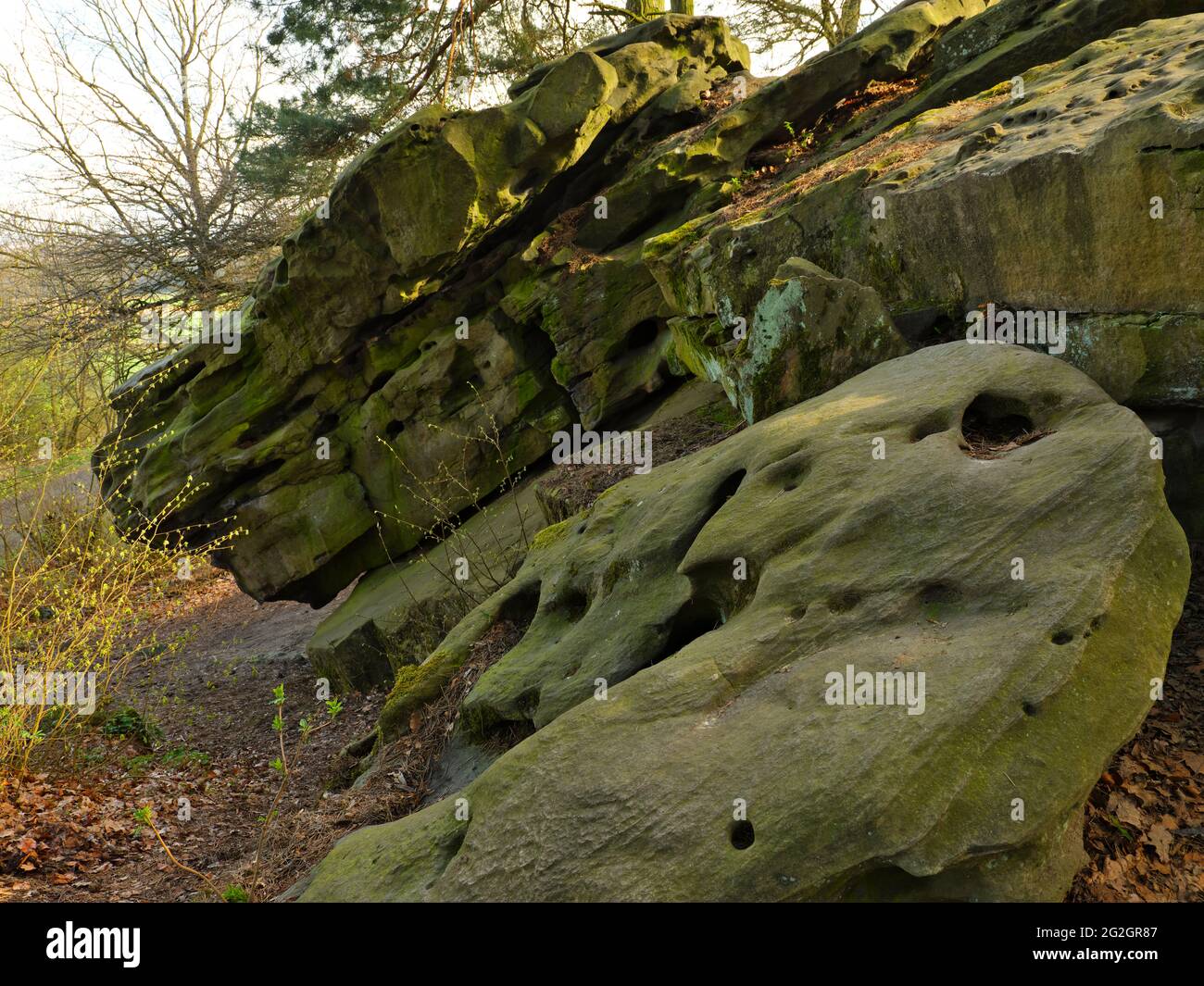 Europe, Germany, Hesse, Vogelsberg Nature Park, Vogelsberg Geopark ...